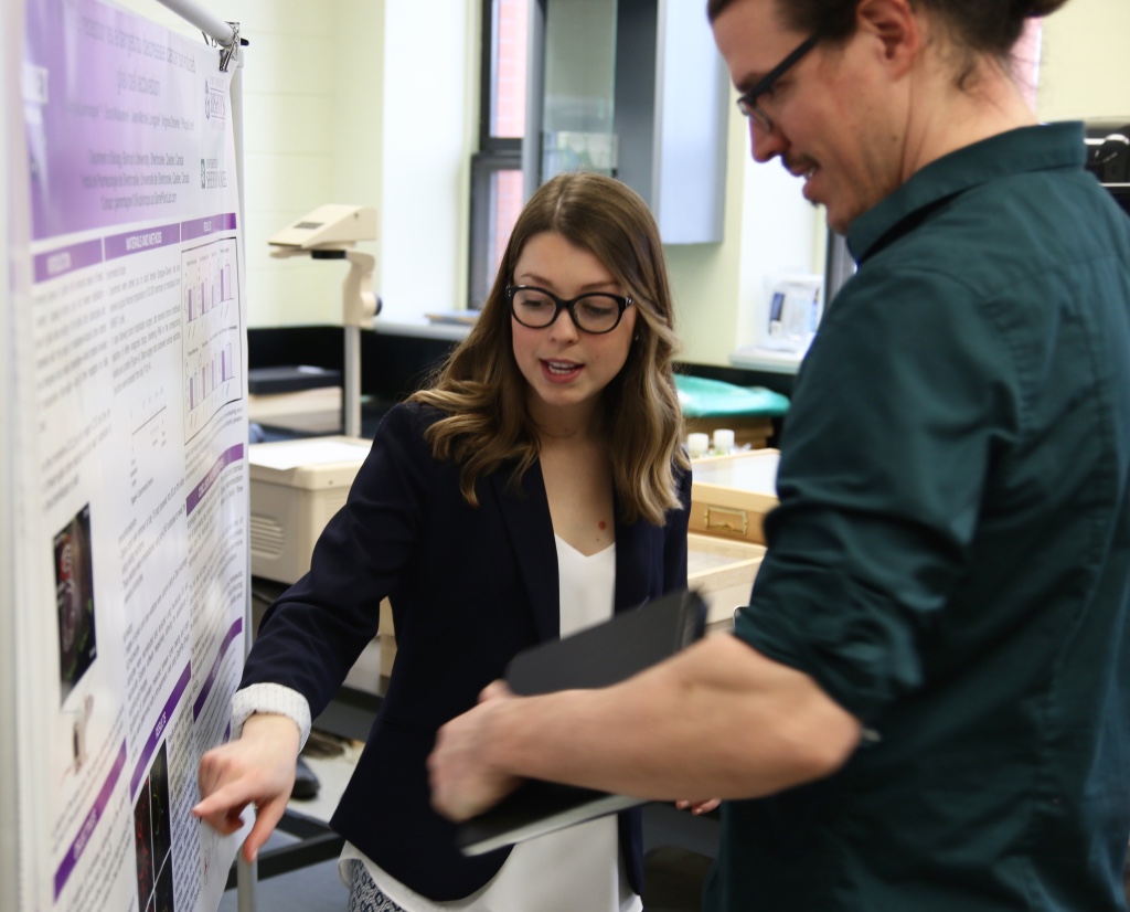 Honours research project presentations - B.U.blog